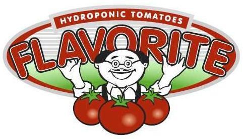 Working at Flavorite company profile and information | SEEK